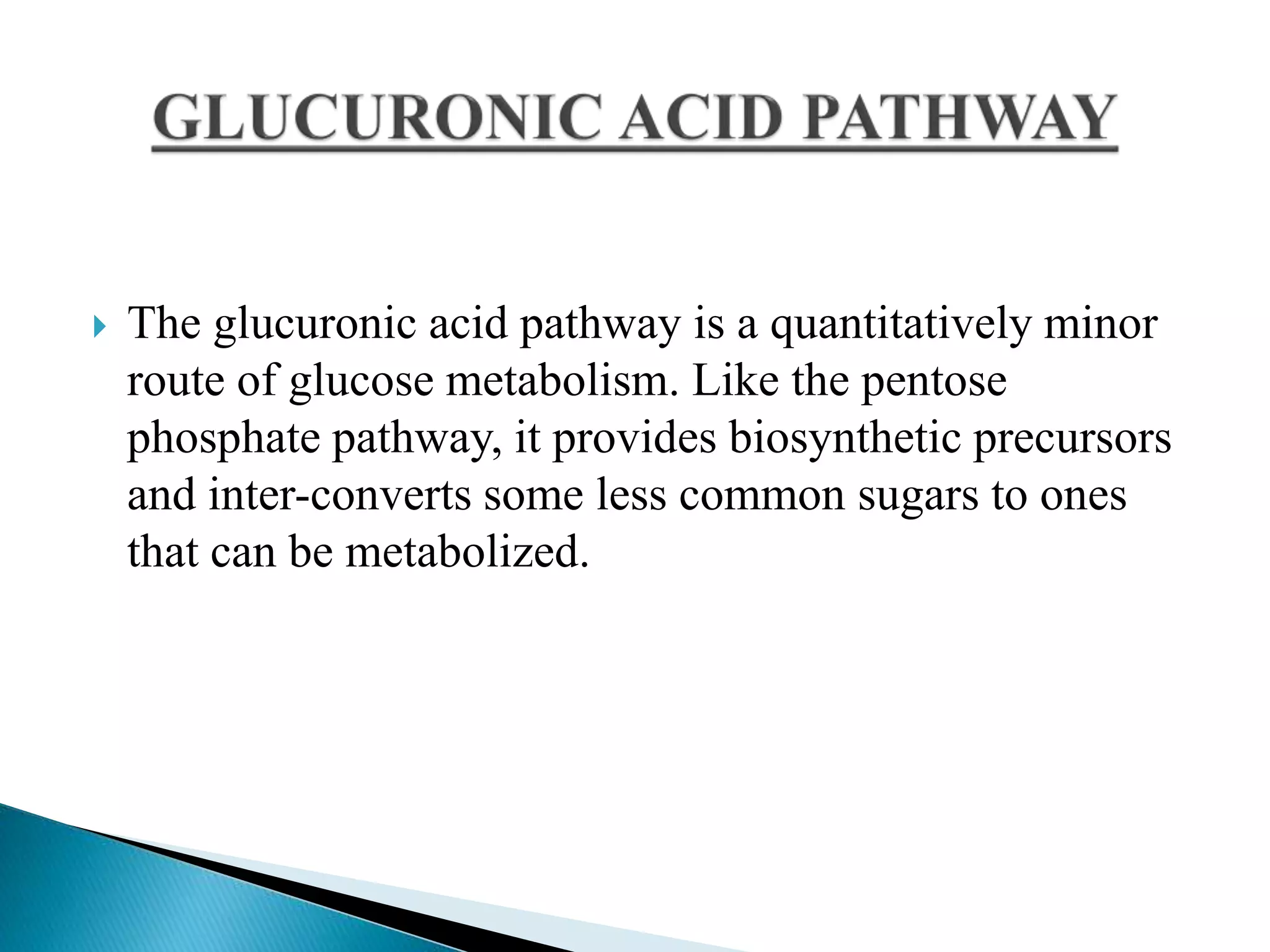 URONIC ACID PATHWAY | PPTX