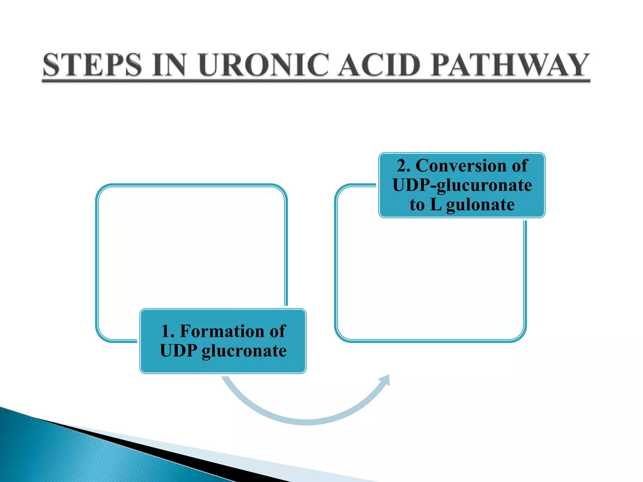 URONIC ACID PATHWAY | PPTX