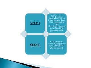 URONIC ACID PATHWAY | PPTX