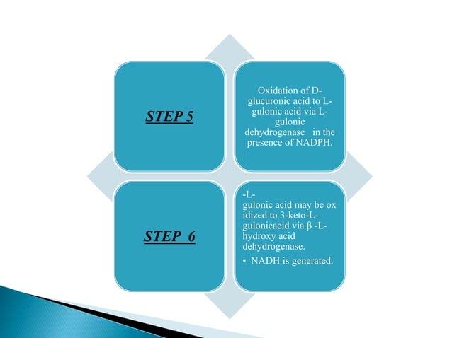 URONIC ACID PATHWAY | PPTX | Endocrine and Metabolic Diseases ...