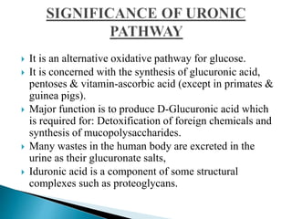 URONIC ACID PATHWAY | PPTX
