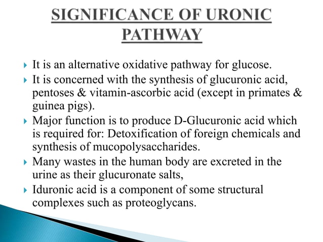 URONIC ACID PATHWAY | PPTX | Endocrine and Metabolic Diseases ...