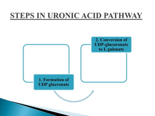 URONIC ACID PATHWAY | PPTX | Endocrine and Metabolic Diseases ...