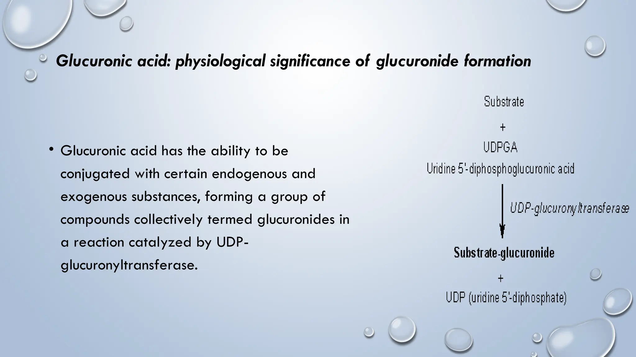 Uronic Acid Pathway : Steps and Significance | PPTX