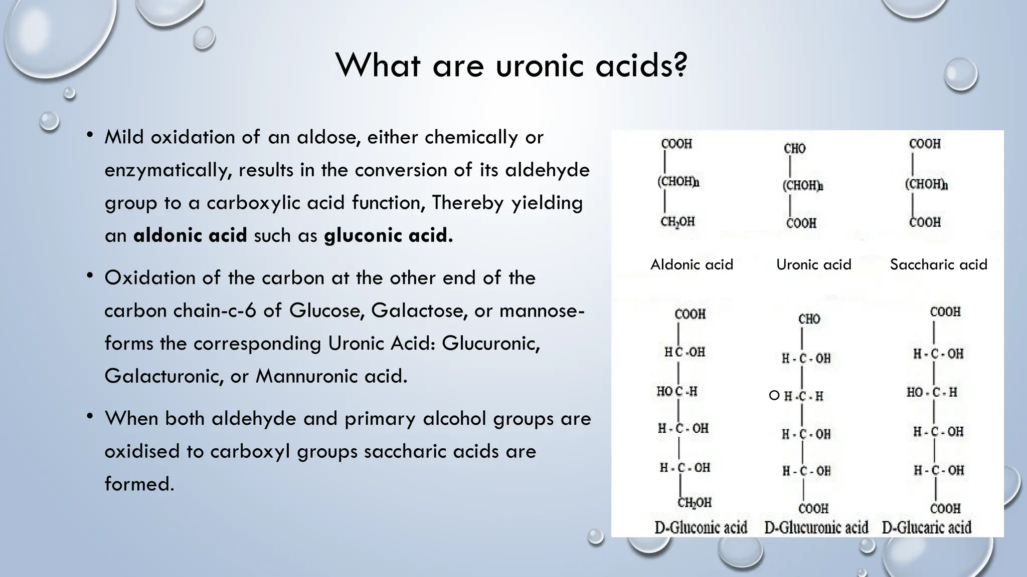 Uronic Acid Pathway : Steps and Significance | PPTX