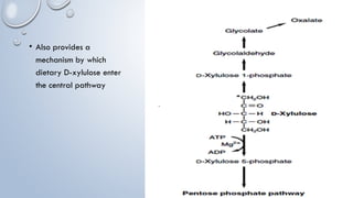 Uronic Acid Pathway : Steps and Significance | PPTX