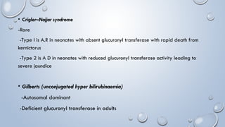 Uronic Acid Pathway : Steps and Significance | PPTX