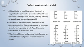 Uronic Acid Pathway : Steps and Significance | PPTX