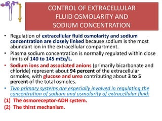 urophysiology5-190620105817 (1).pdf | Endocrine and Metabolic Diseases ...
