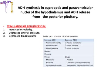 urophysiology5-190620105817 (1).pdf