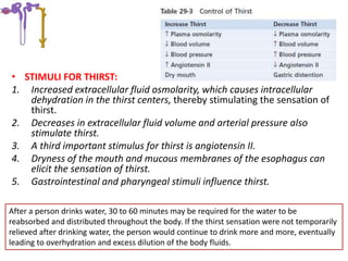 urophysiology5-190620105817 (1).pdf