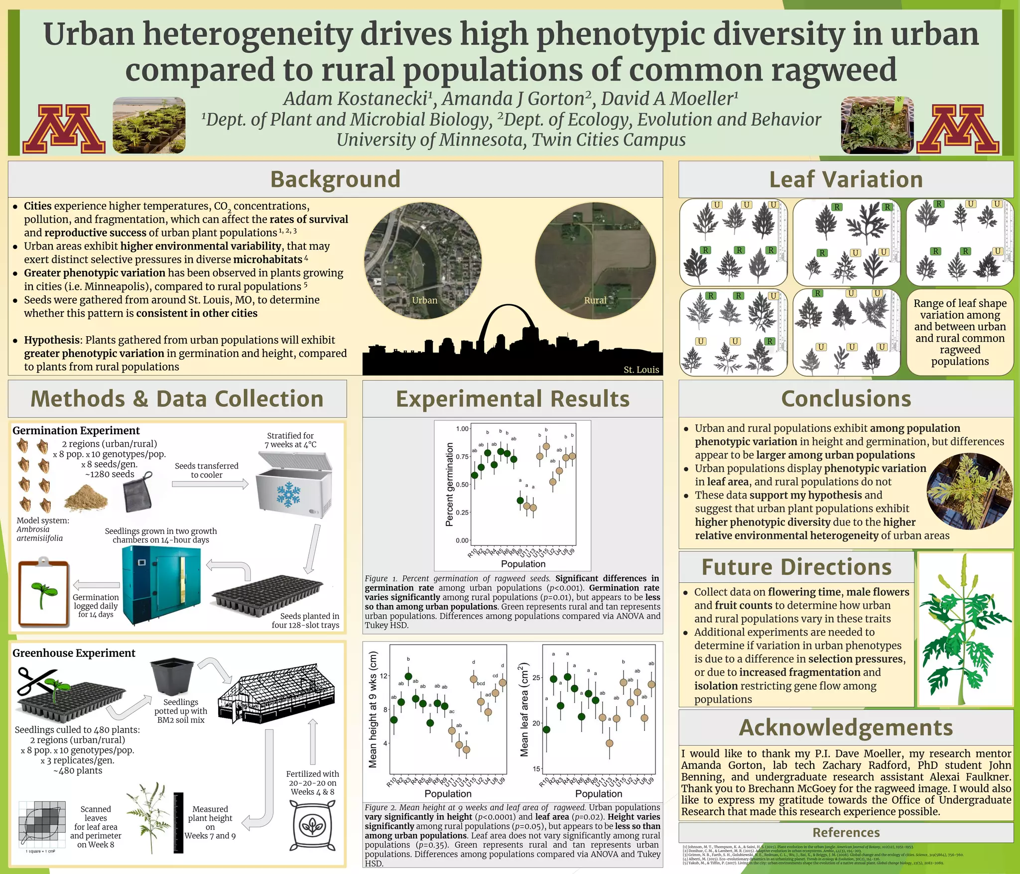 Urban heterogeneity drives high phenotypic diversity in urban compared ...