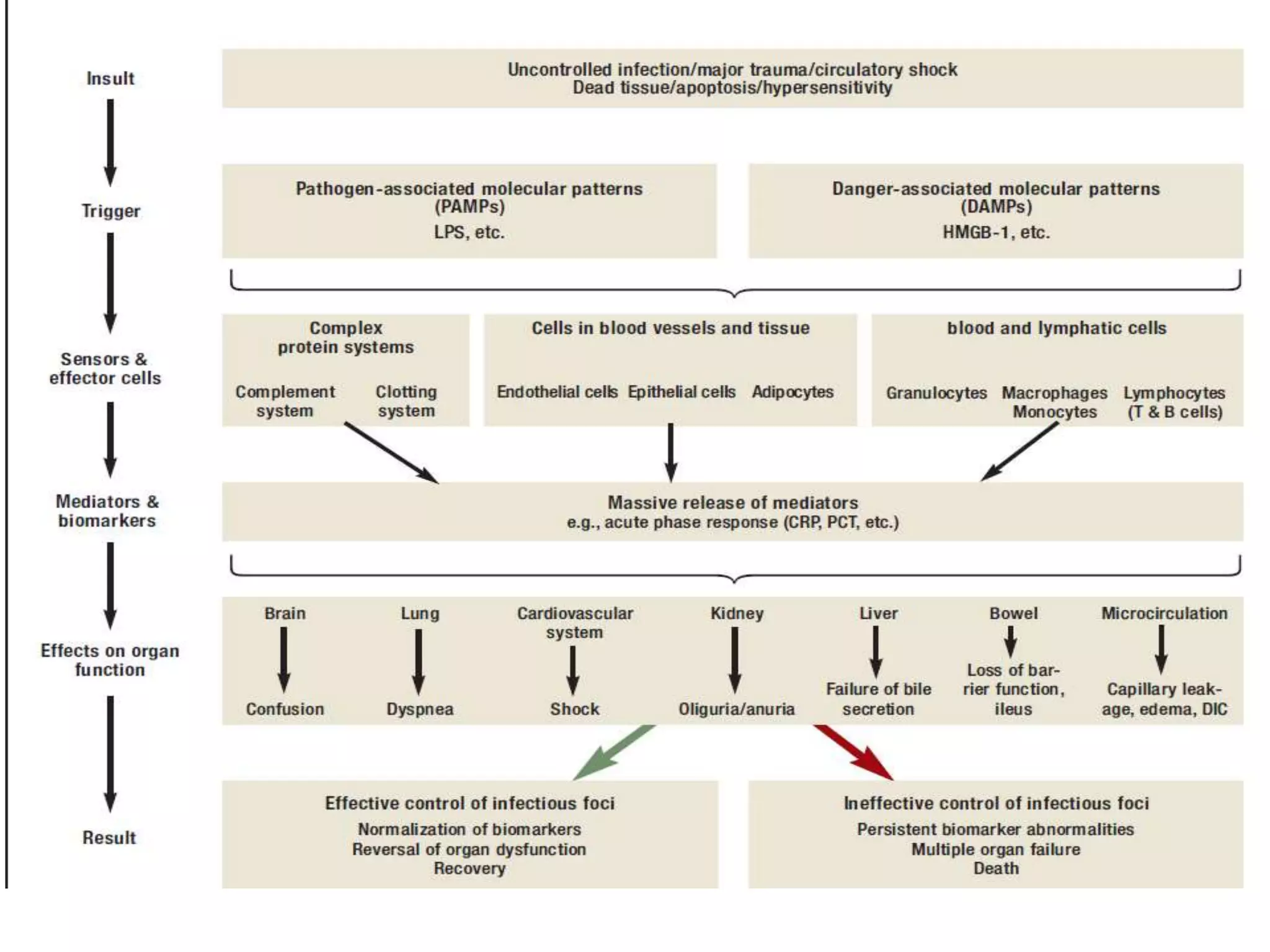 Urosepsis | PPTX | Infectious Diseases | Diseases and Conditions