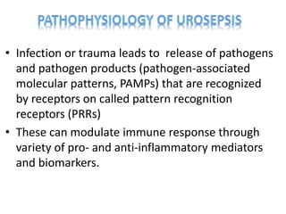 Urosepsis | PPTX | Infectious Diseases | Diseases and Conditions