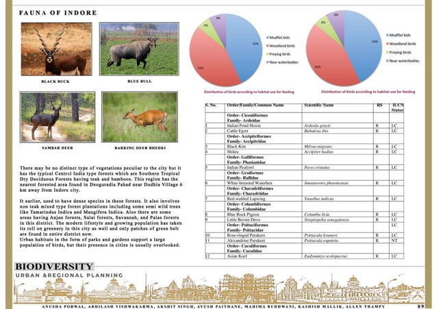 URBAN AND REGIONAL PLANNING OF INDORE.pdf