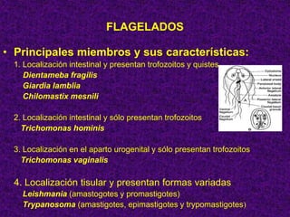 URP- PARASITOLOGÍA- GENERALIDADES-PROTOZOOS INTESTINALES 2013.ppt
