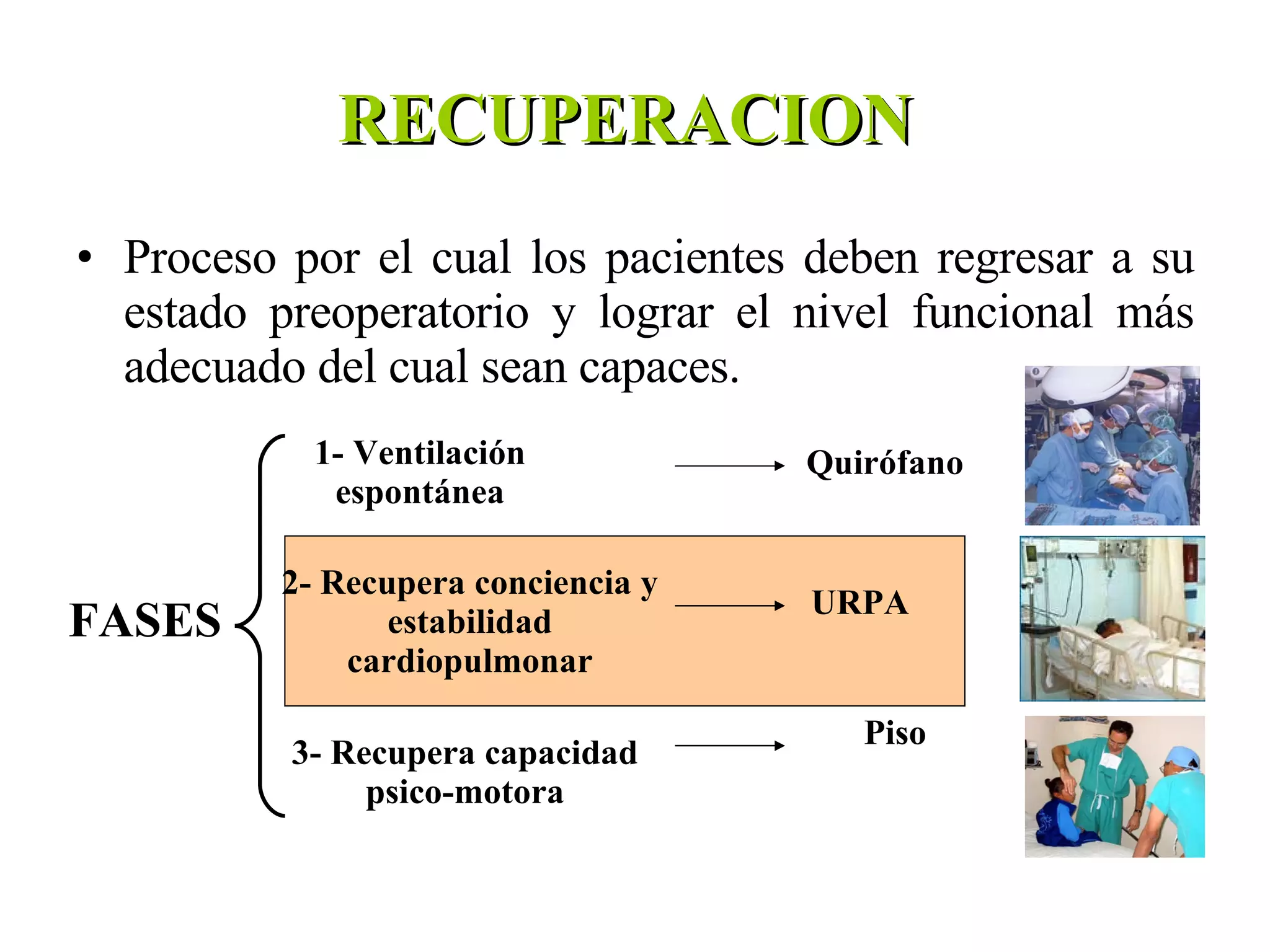 Urpa | PPT