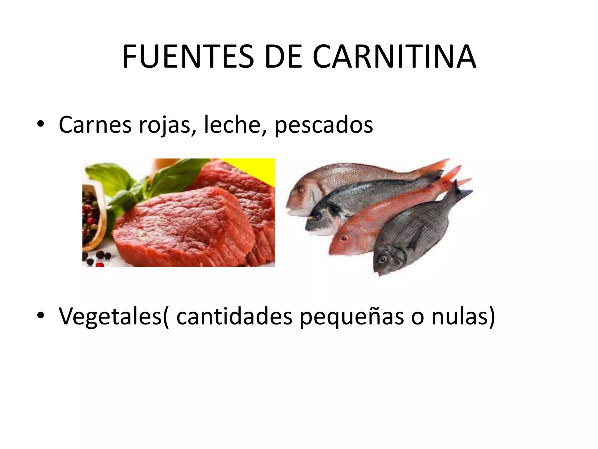 Diapositivas Bioquimica IV segmento, Derivados de aminoácidos de ...