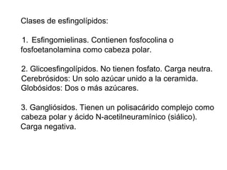 Diapositivas Bioquimica III segmento, Metabolismo de triacilglicéridos ...