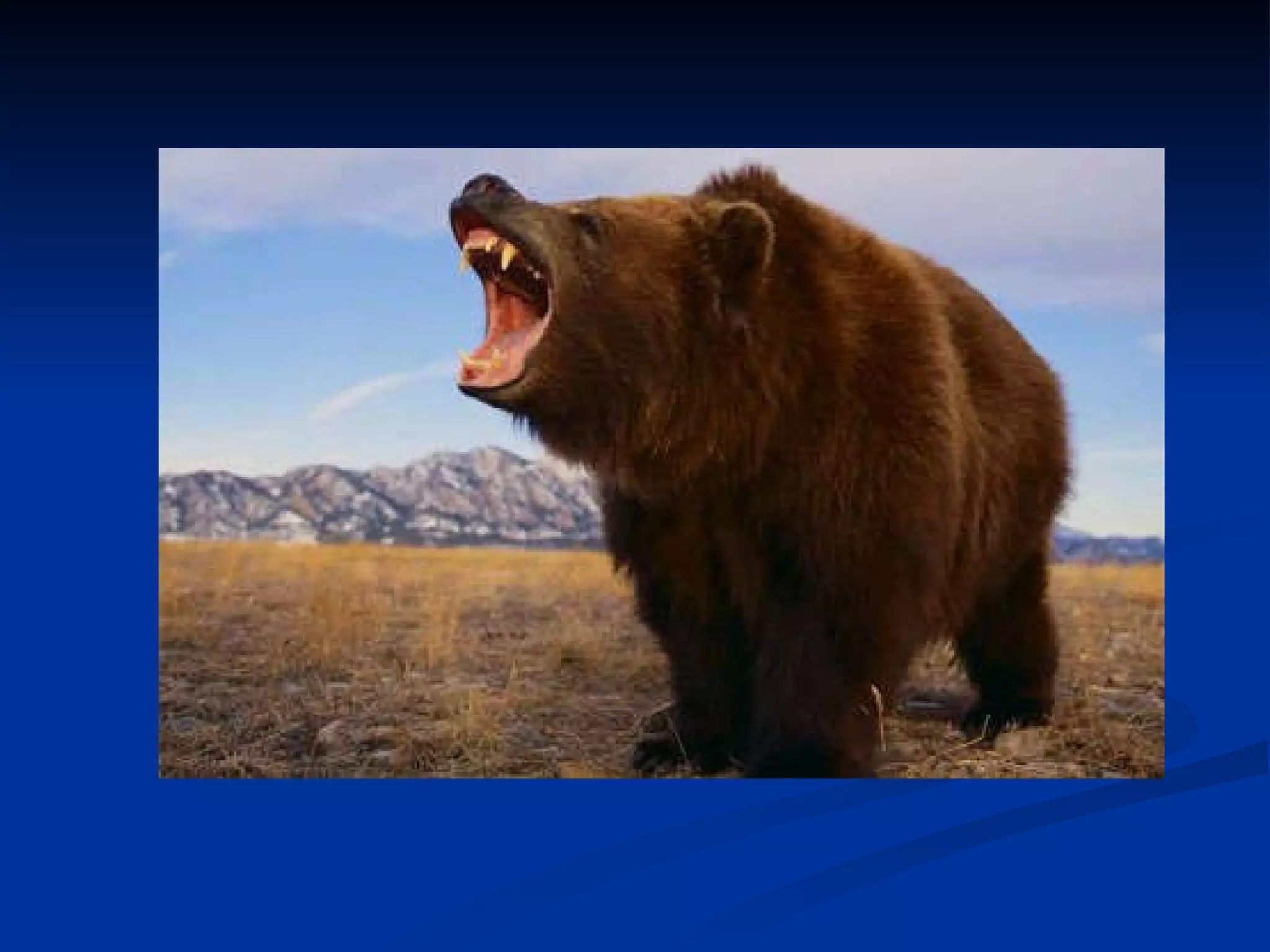 Ursa Major Ppt | PPT