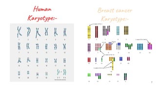 Characterisation of cell line | PPT