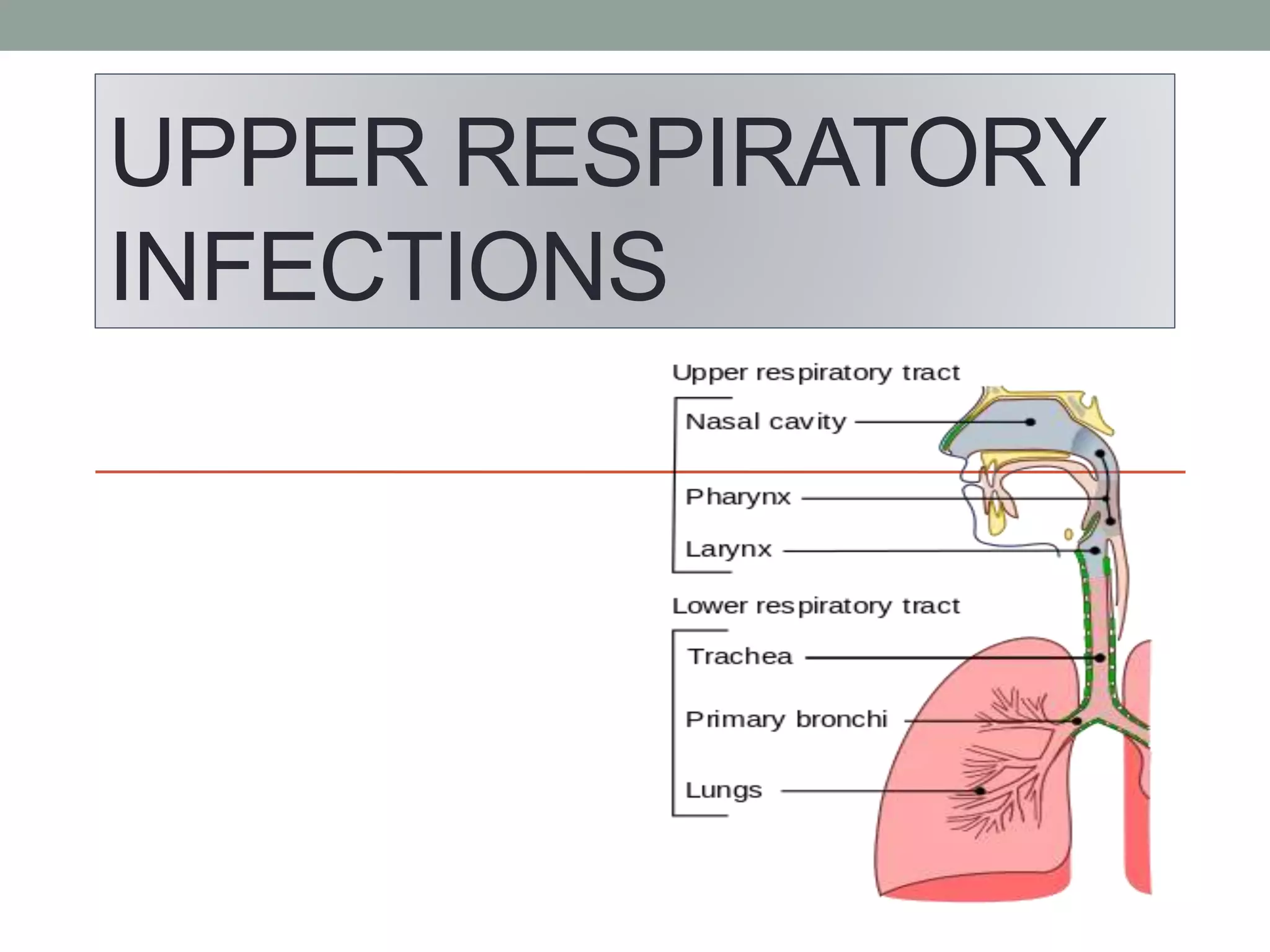 UPPER RESPIRATORY TRACT INFECTIONS | PPTX