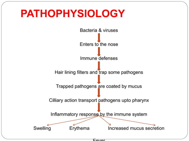 Urti | PPTX | Ear, Nose and Throat Conditions | Diseases and Conditions