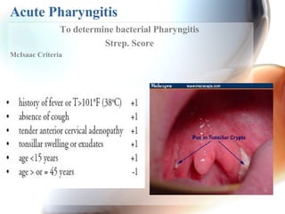 Urti Antibiotics | PPT