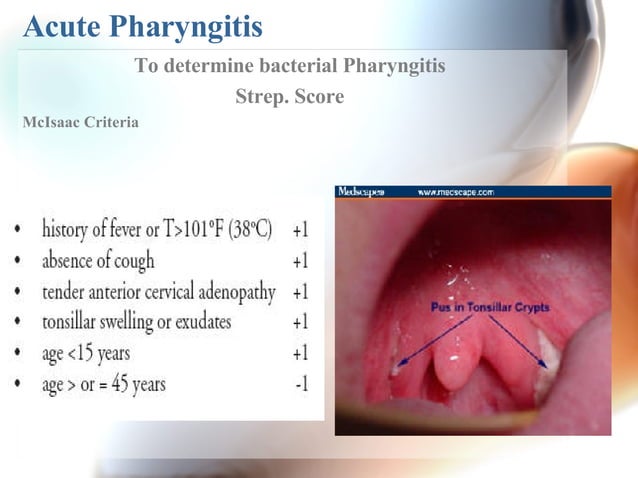 Urti Antibiotics | PPT | Ear, Nose and Throat Conditions | Diseases and ...