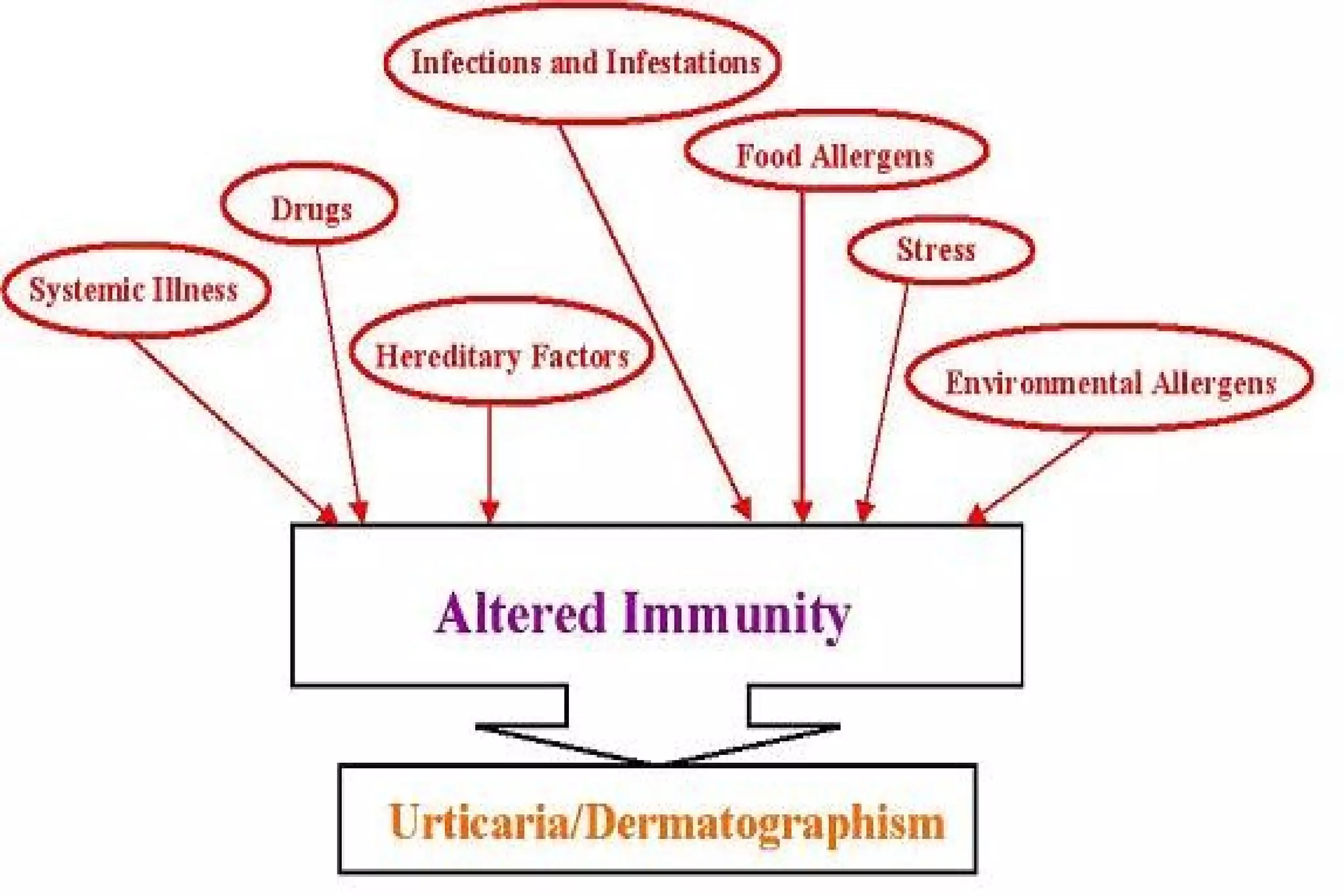 Urticaria | PPT