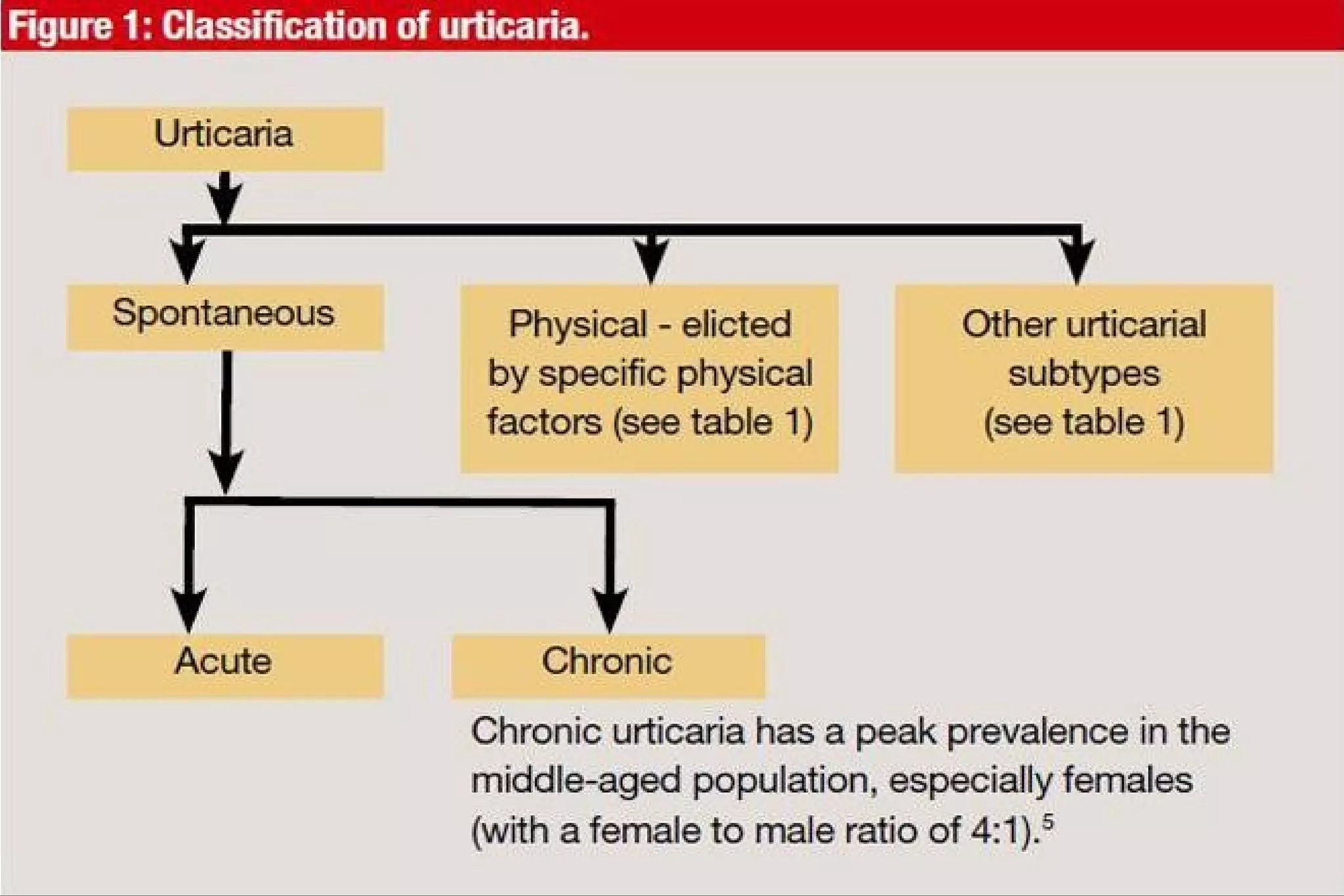 Urticaria | PPT