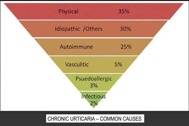 Urticaria | PPT | Allergies | Diseases and Conditions