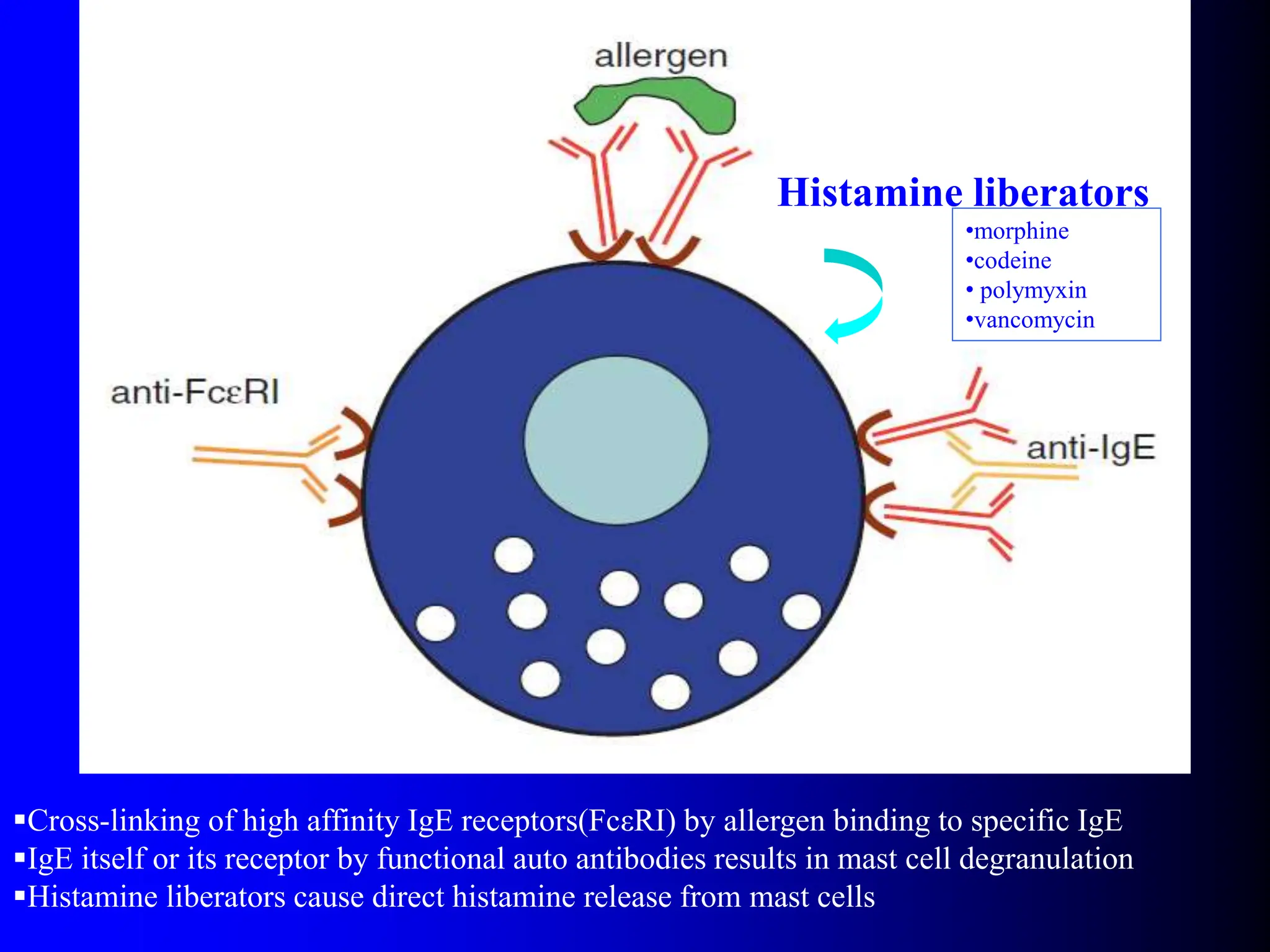 urticaria.ppt Dermatology Skin conditions Allergy | PPT