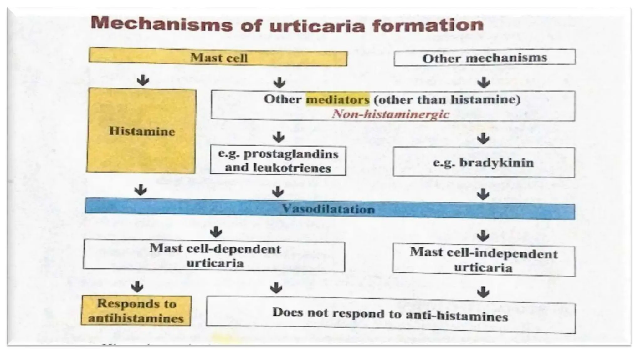 Urticaria ,types and management bolognia .pptx