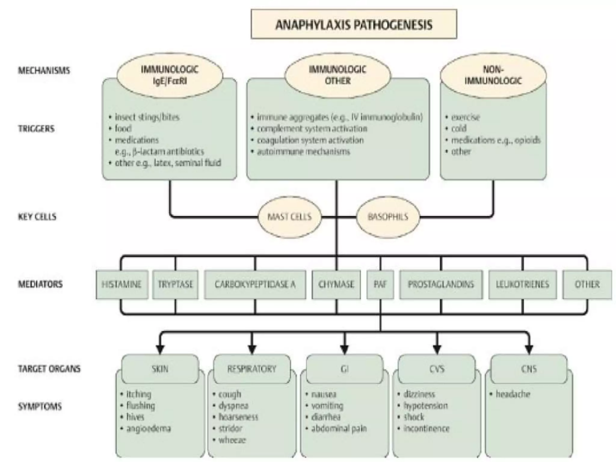 Urticaria, Angioedema, and Anaphylaxis.pptx