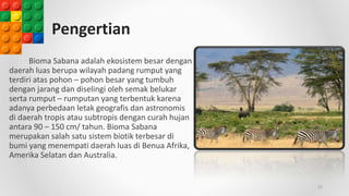 BIoma Gurun, Padang Rumput, dan Sabana (Geografi) | PPTX
