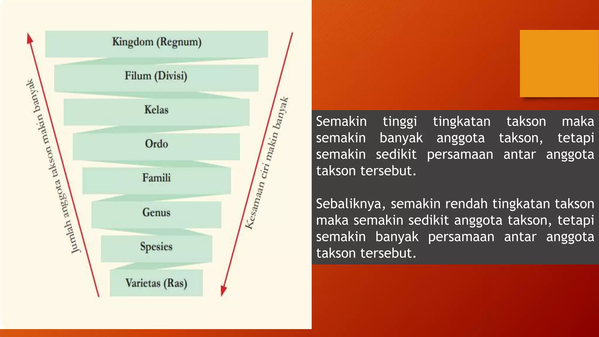 Urutan Takson Makhluk Hidup.pptx