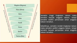 Urutan Takson Makhluk Hidup.pptx