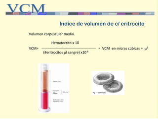 Sangre y coagulacion | PDF