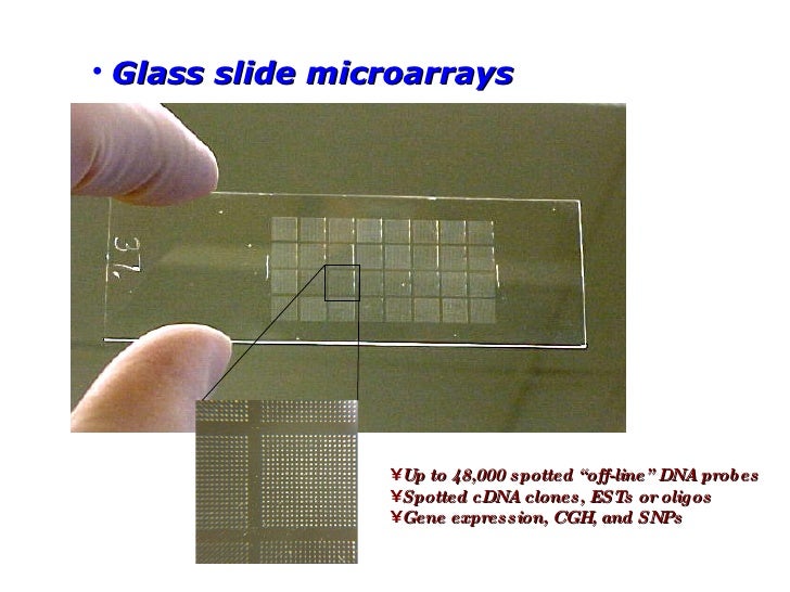 Genomica - Microarreglos de DNA