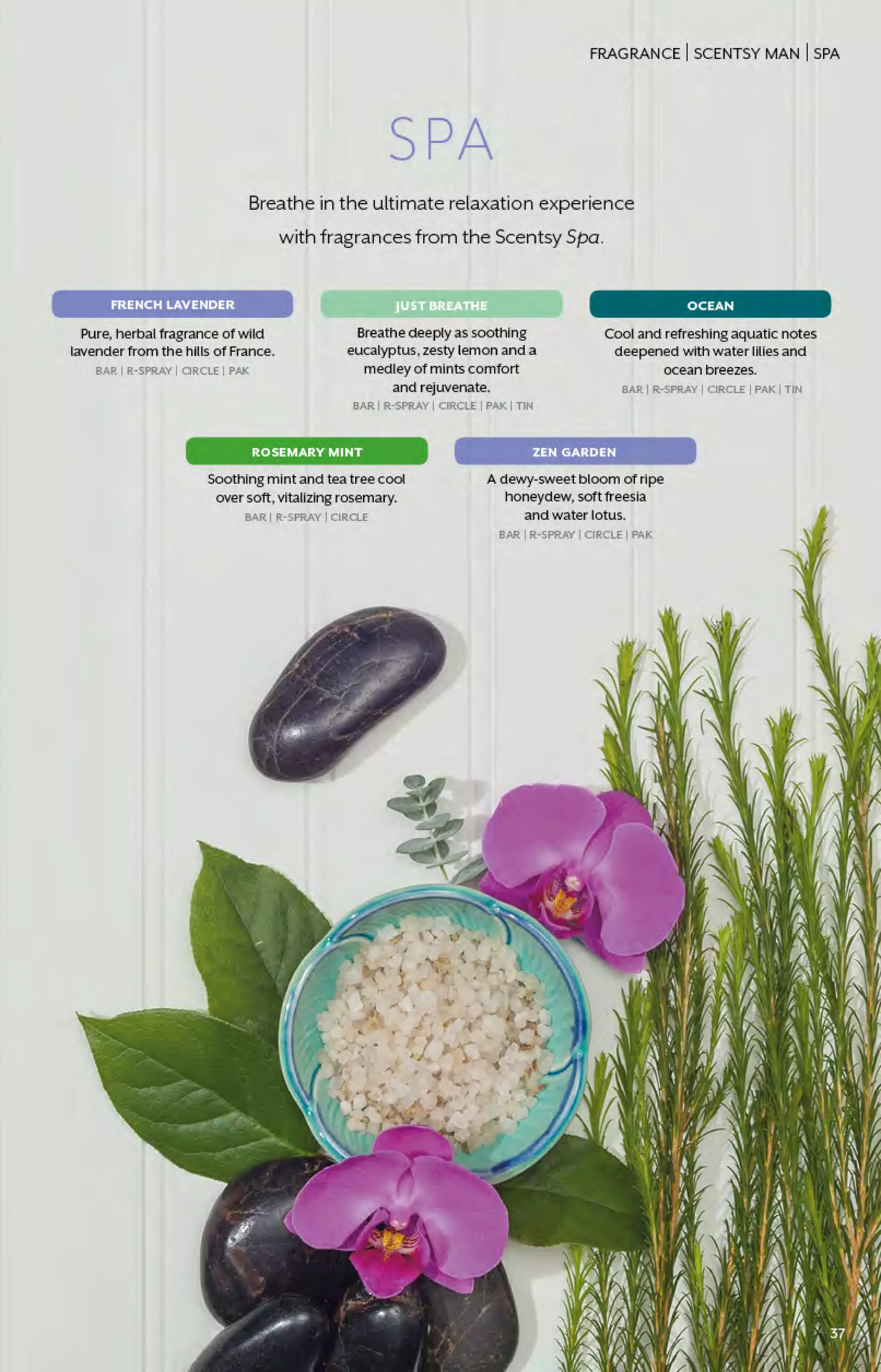 US Scentsy Catalog Spring/Summer 2015 | PDF