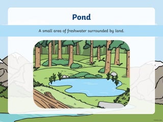 us-g-32-bodies-of-water-powerpoint-english.ppt