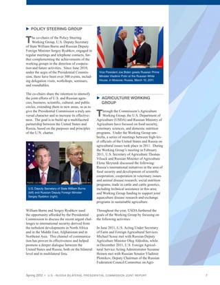 US-Russia report by the bilateral presidential commission | PDF