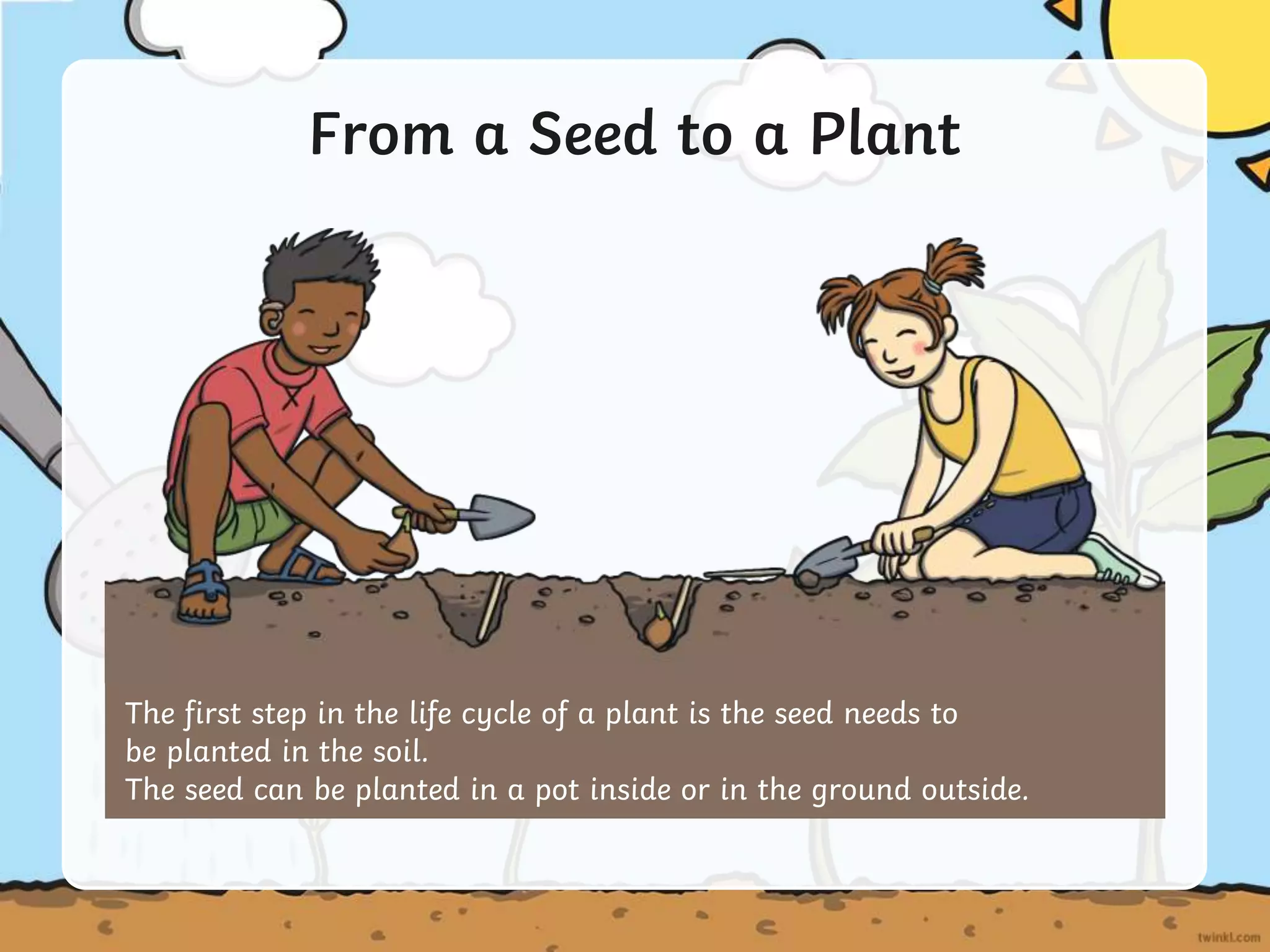 us-t-2546339-life-cycle-of-a-plant-powerpoint_ver_2 (1).pptx