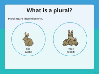 us-t-l-2542-plurals-s-and-es-teaching-powerpoint-english-united-states ...