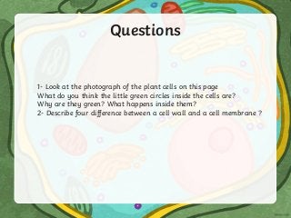 us2-s-187-what-is-a-cell-powerpoint-english_ver_3.pptx