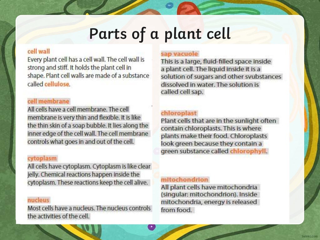 us2-s-187-what-is-a-cell-powerpoint-english_ver_3.pptx