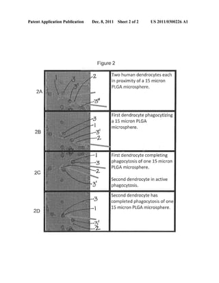 US Patent Application Publication 20110300226 1 | PDF