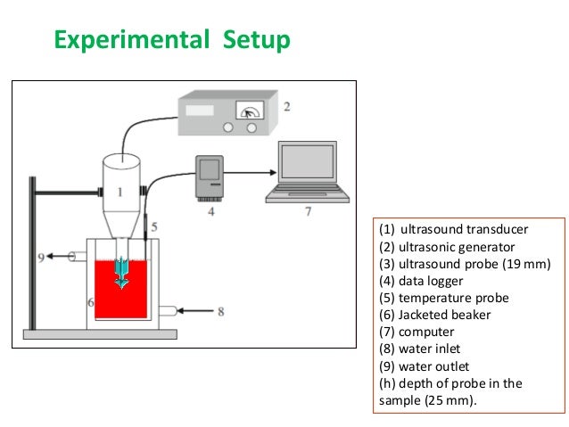 Ultrasonication processing of fruits and vegetables