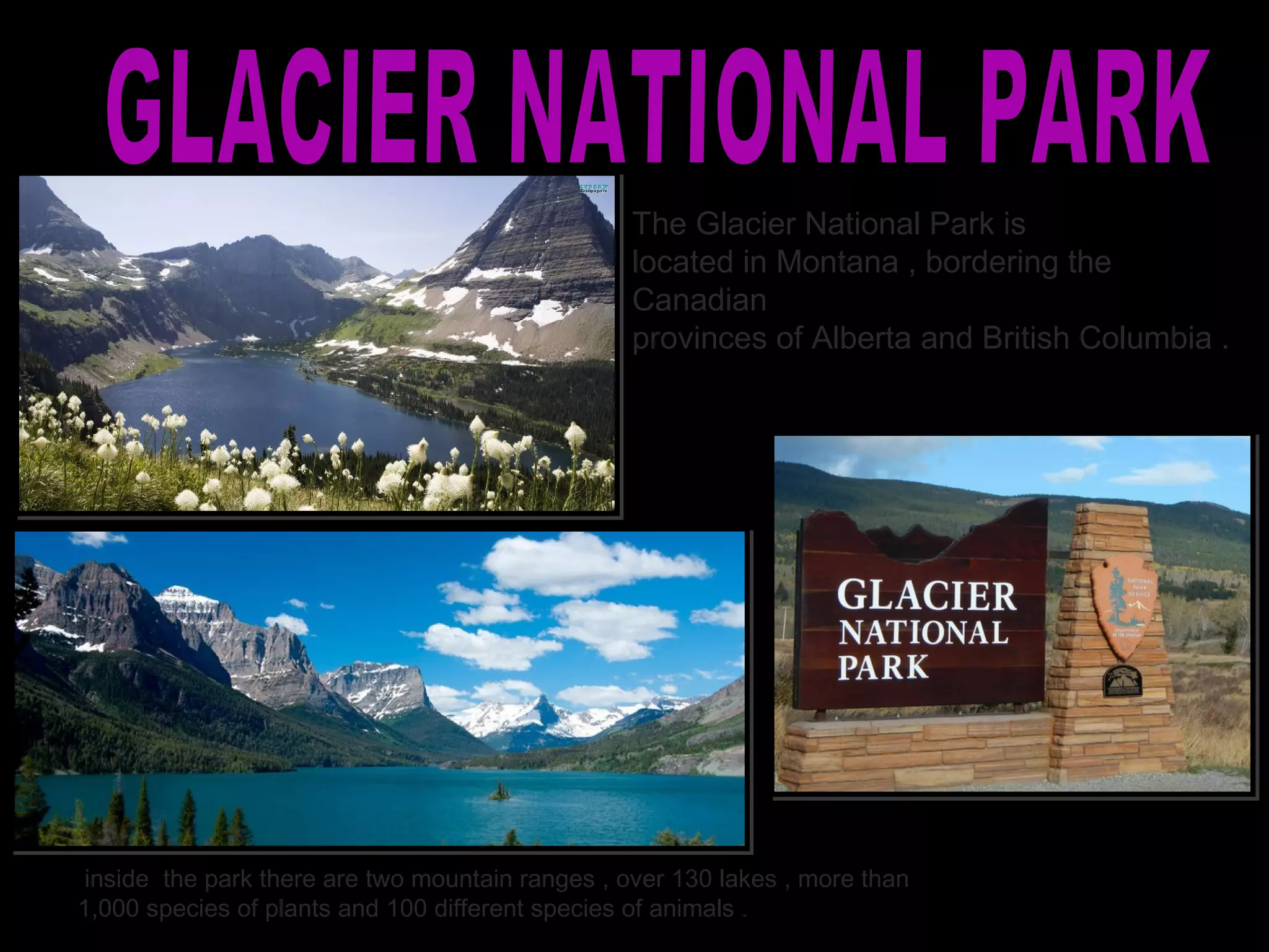Usa National Parks | PPT